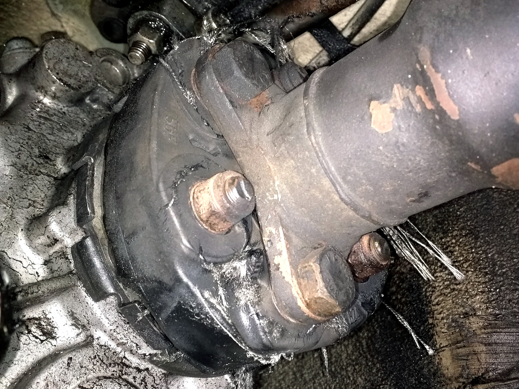 Guibo Replacements (Flex Discs) - Eurospec Autowerks